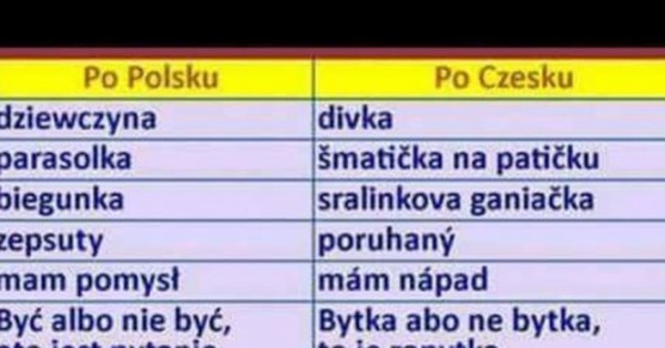 Szamponik.pl - CZESKI JĘZYK! Najlepszy rozweselacz ;D Ciekawe czy ...